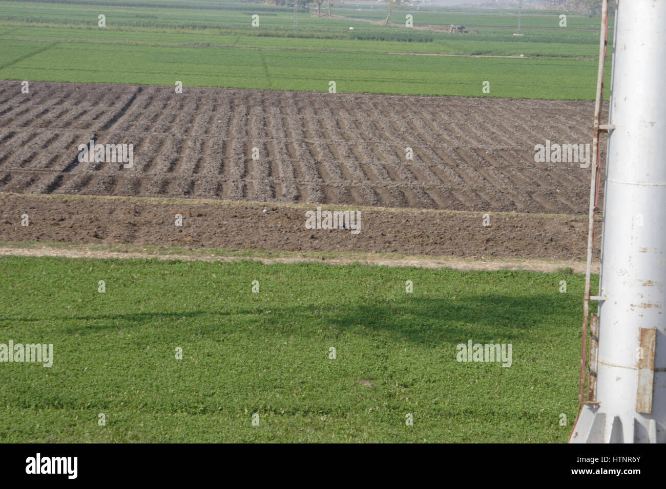 Agricultural Land, Landscape Stock Photo - Alamy
