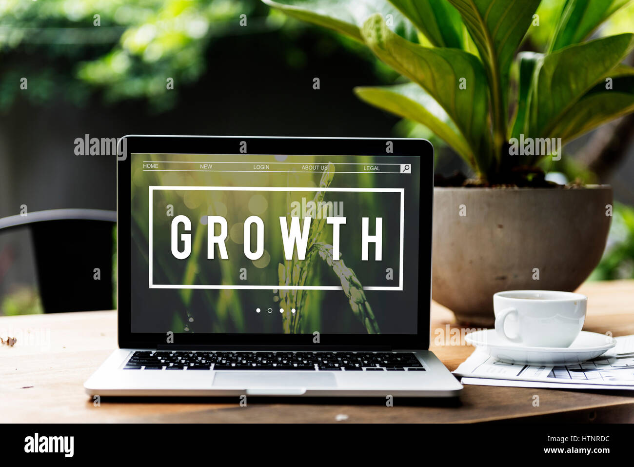 Growth Development Grow Improvement Success Stock Photo - Alamy