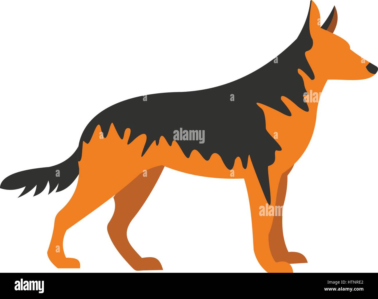 Adult german shepherd standing Stock Vector Images - Alamy