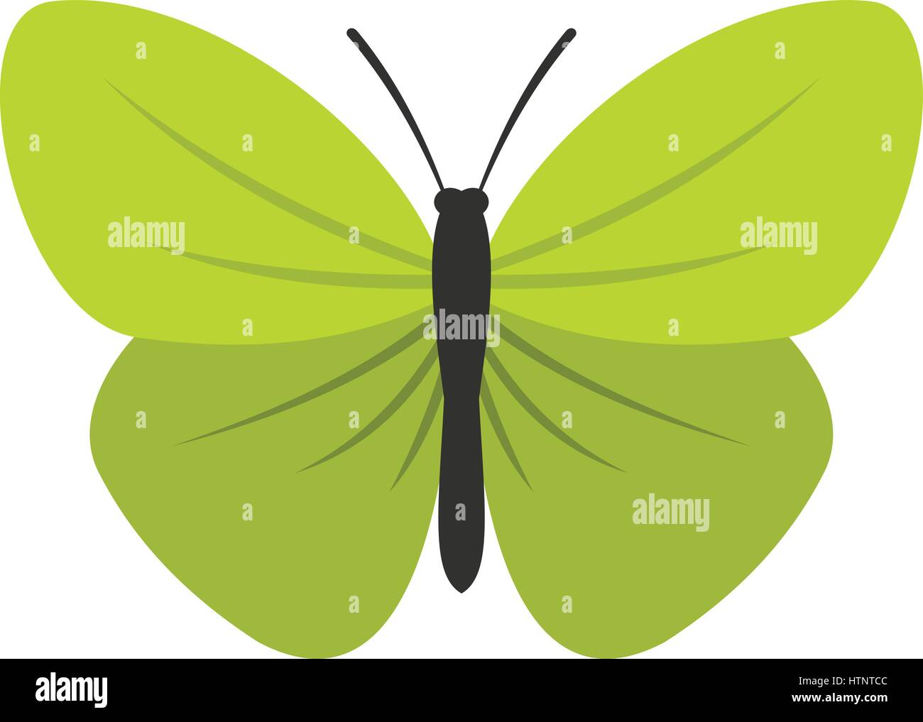 Insect butterfly with small wings icon, flat style Stock Vector Image ...