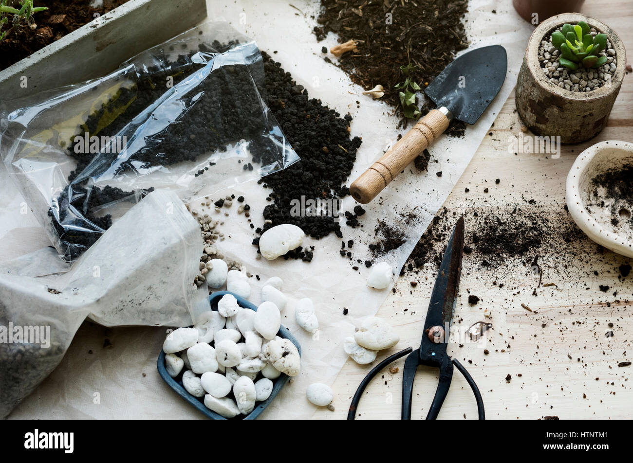 Planting stones hi-res stock photography and images - Alamy