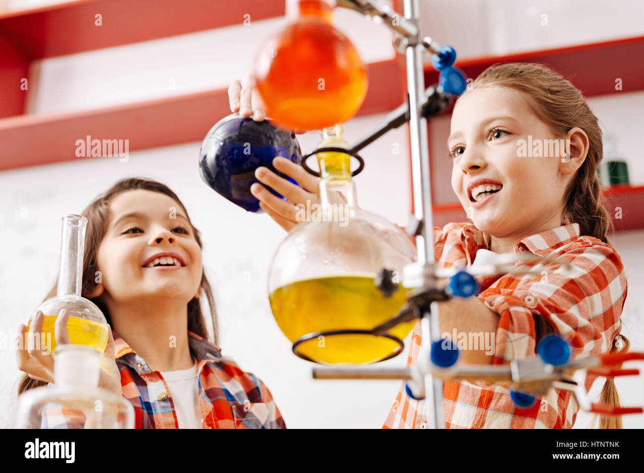 School scientific club. Cute joyful nice girls using scientific ...
