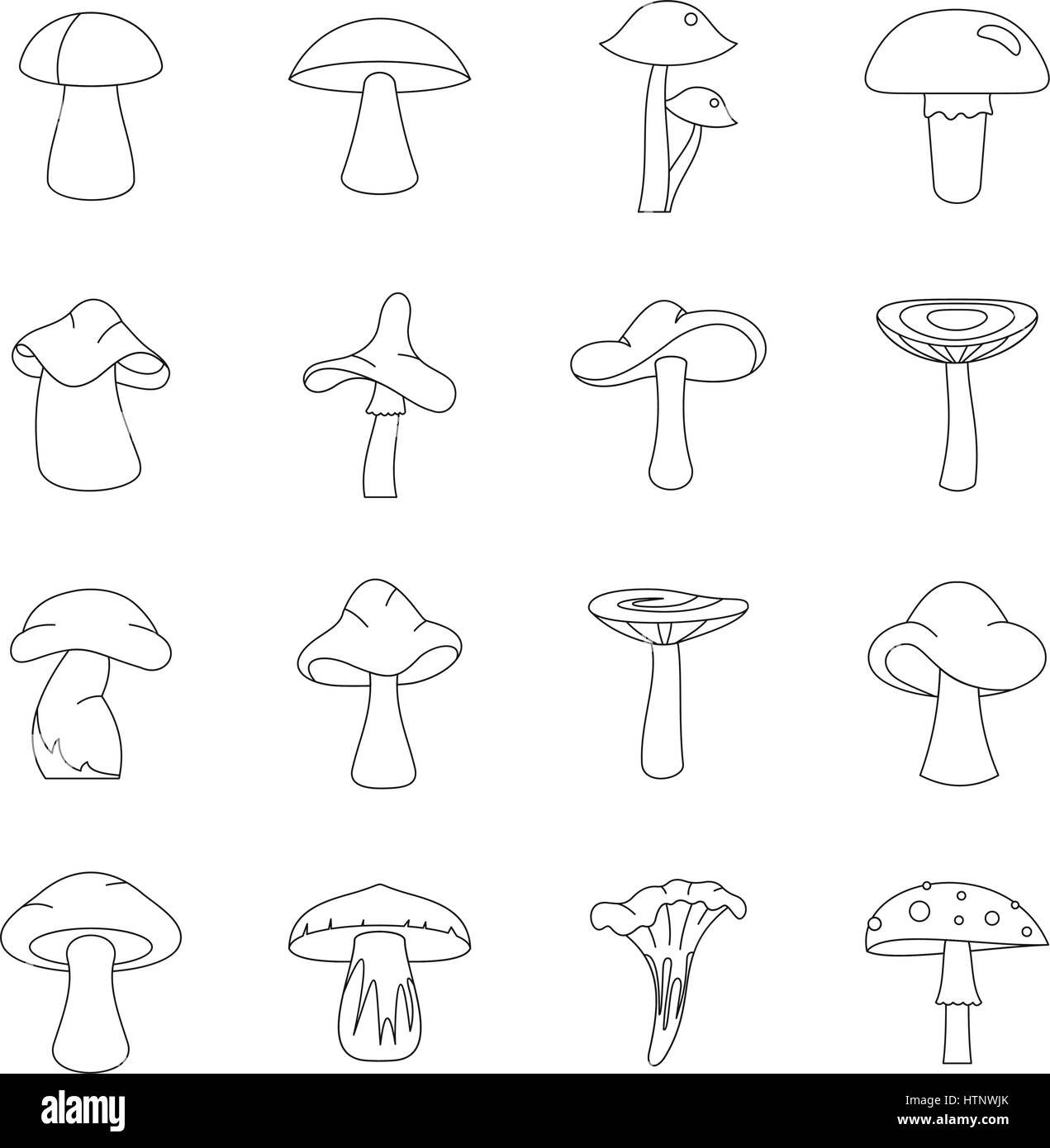 Mycelium Black and White Stock Photos & Images - Alamy