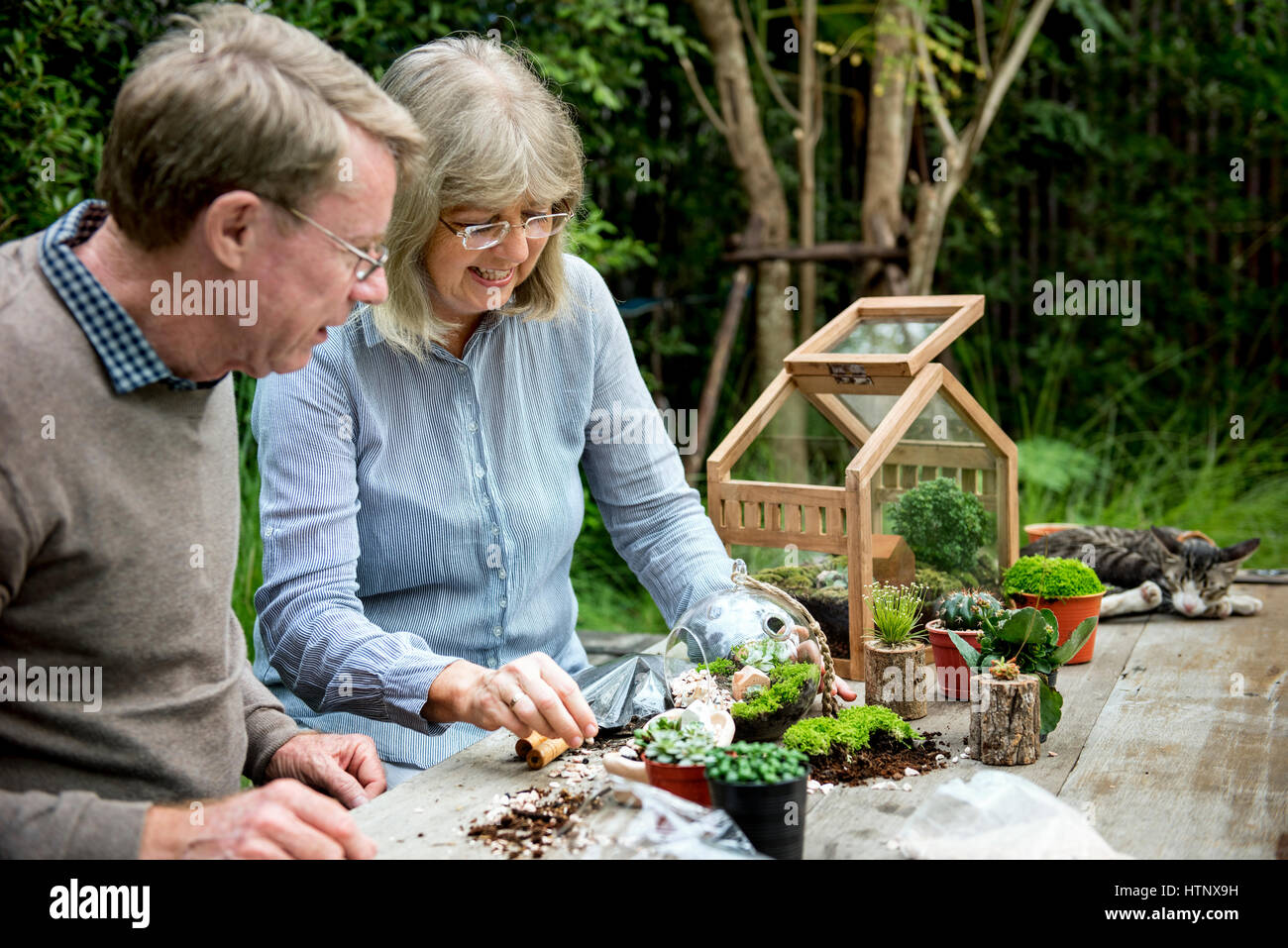 Terrarium Miniature Botanical Horticulture Grow Stock Photo - Alamy