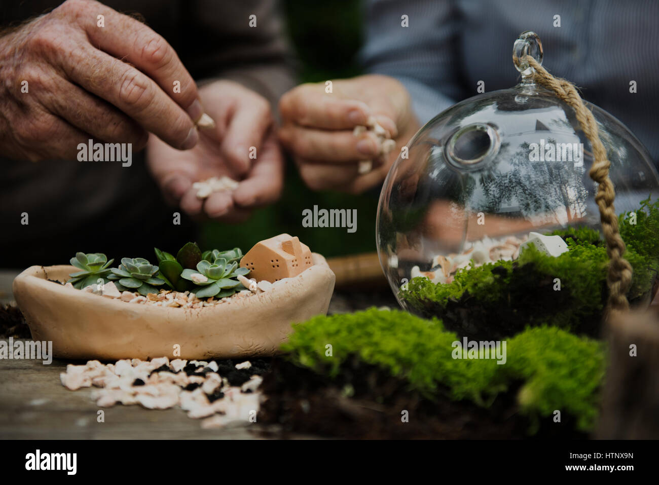 Botanical Environment Greenery Pottery Nature Stock Photo - Alamy