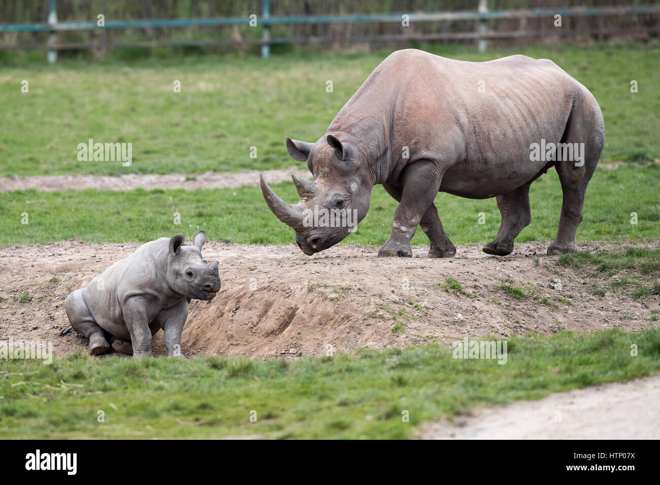 Howletts canterbury hi-res stock photography and images - Alamy