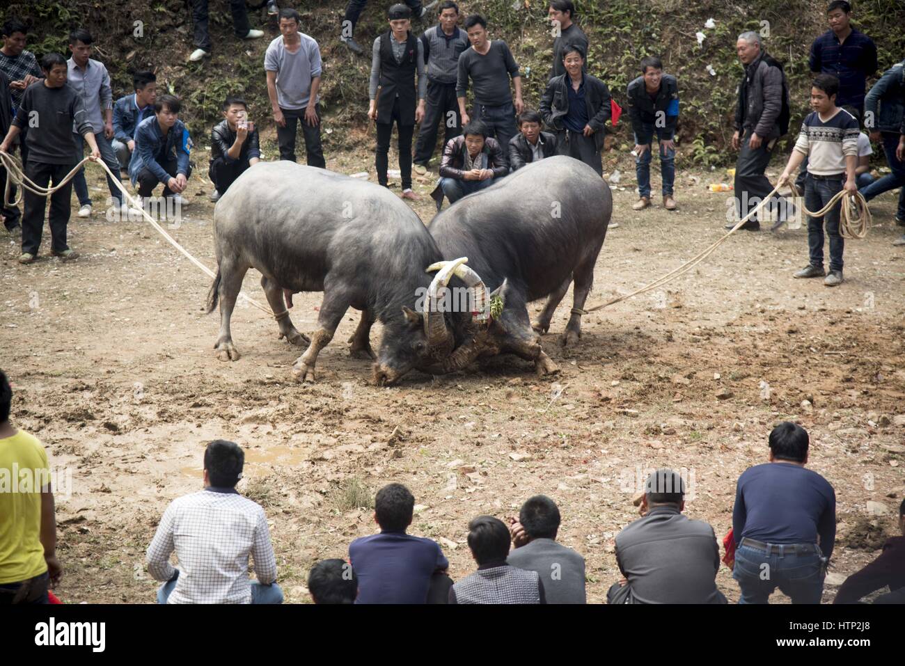 Start of bullfight hi-res stock photography and images - Alamy