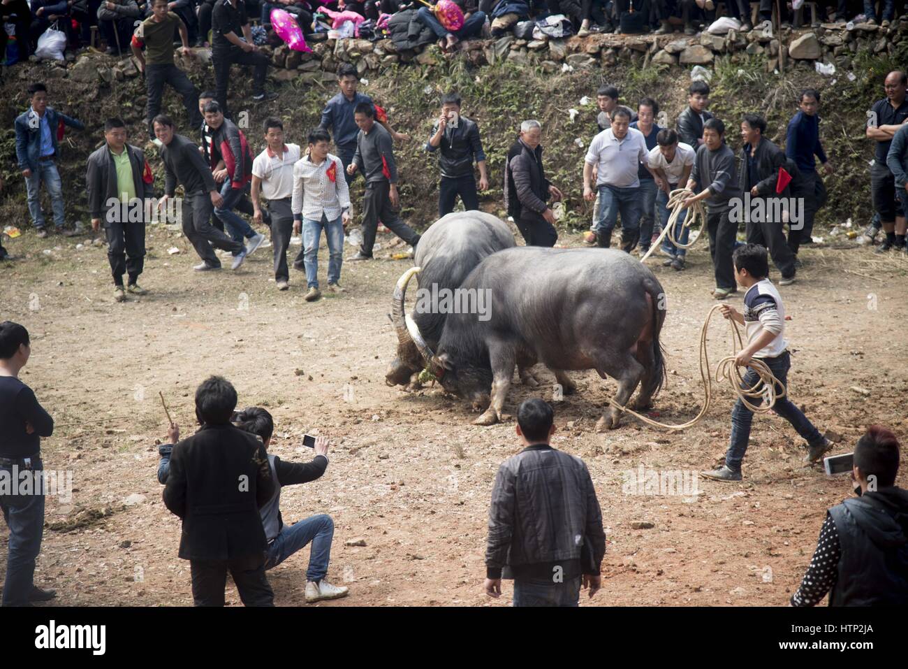 Start of bullfight hi-res stock photography and images - Alamy