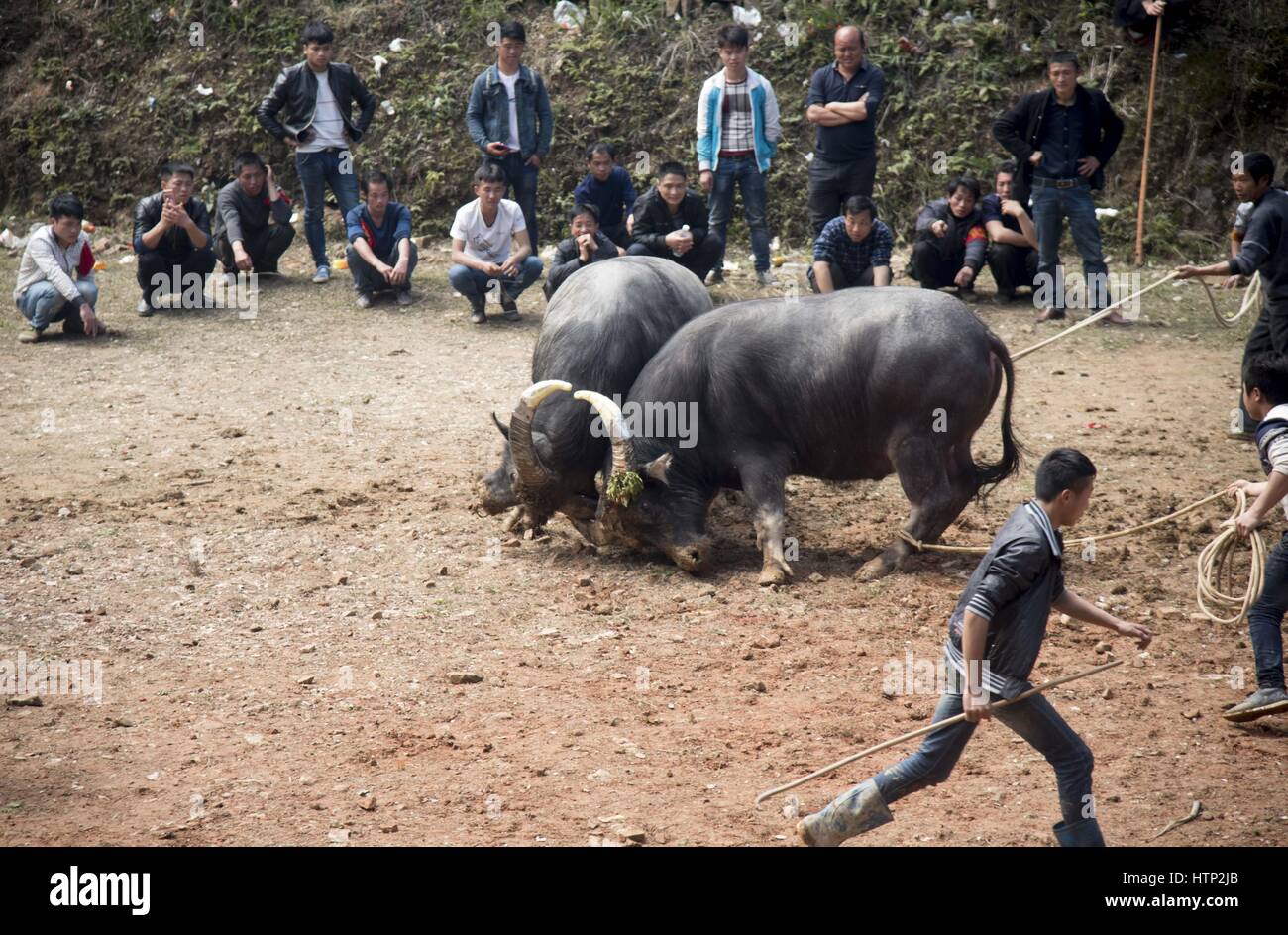 Start of bullfight hi-res stock photography and images - Alamy