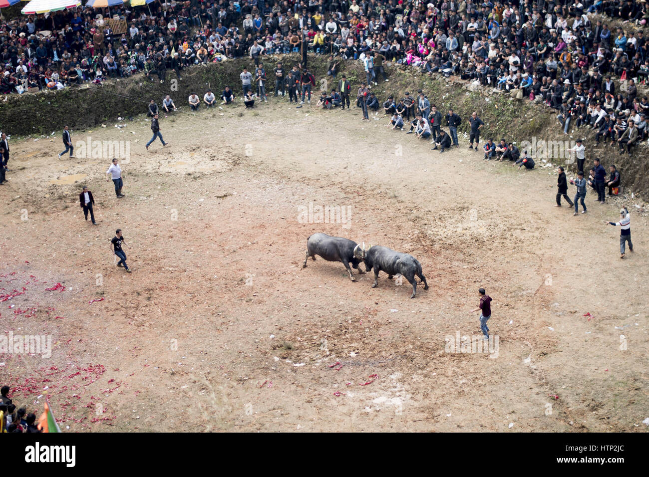 Start of bullfight hi-res stock photography and images - Alamy