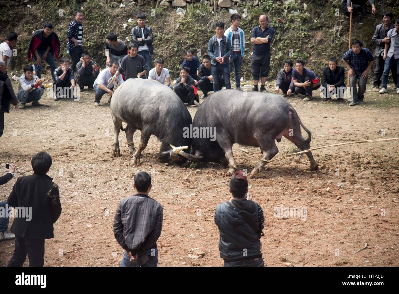 Start of bullfight hi-res stock photography and images - Alamy