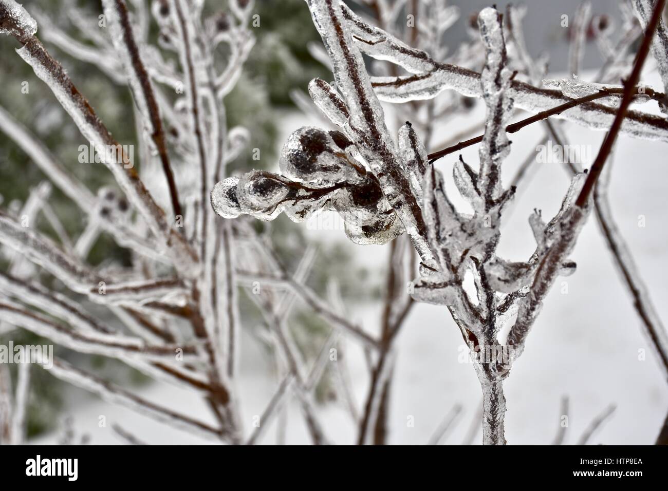 Maryland, USA - March 14, 2017: Winter storm Stella pushes through the ...