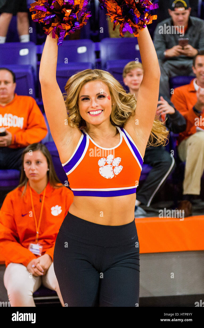 Clemson Rally Cat during the NIT Tournament basketball game between the ...