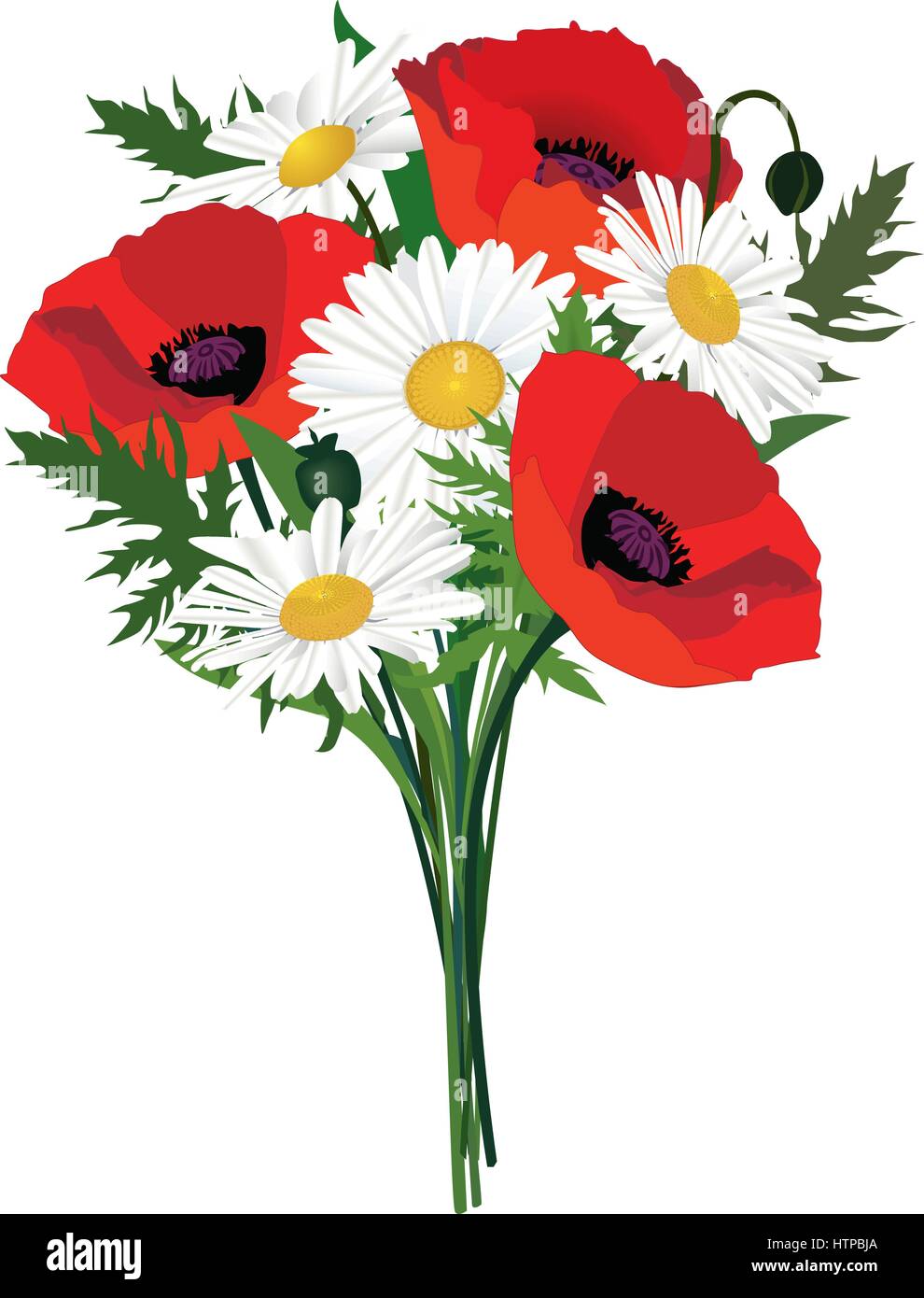 Frame blue flower cornflower Stock Vector Images - Alamy