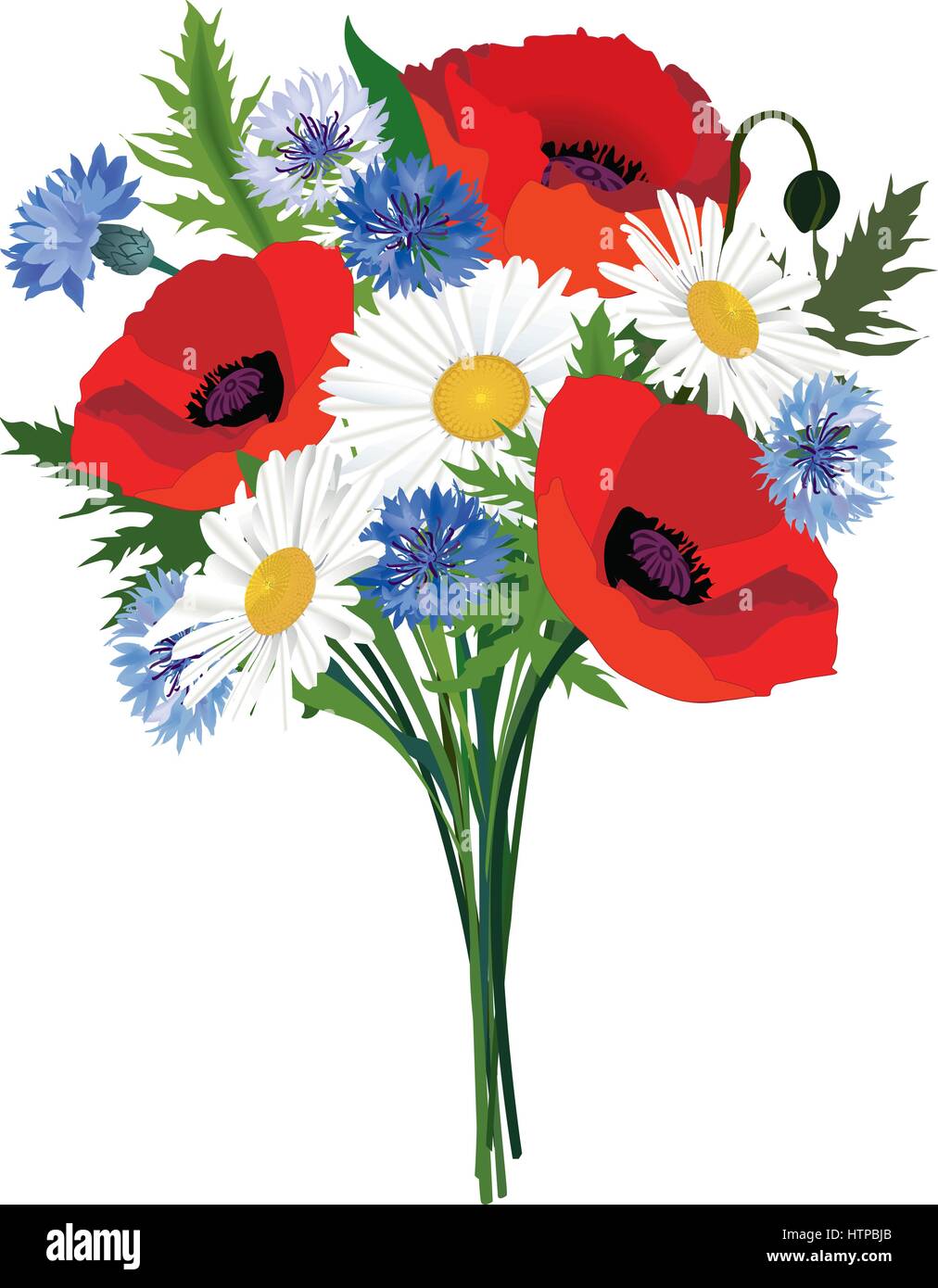 Frame blue flower cornflower Stock Vector Images - Alamy