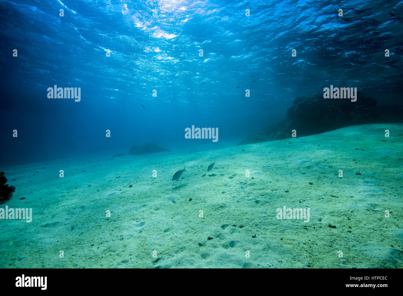 Shallow landscape hi-res stock photography and images - Alamy