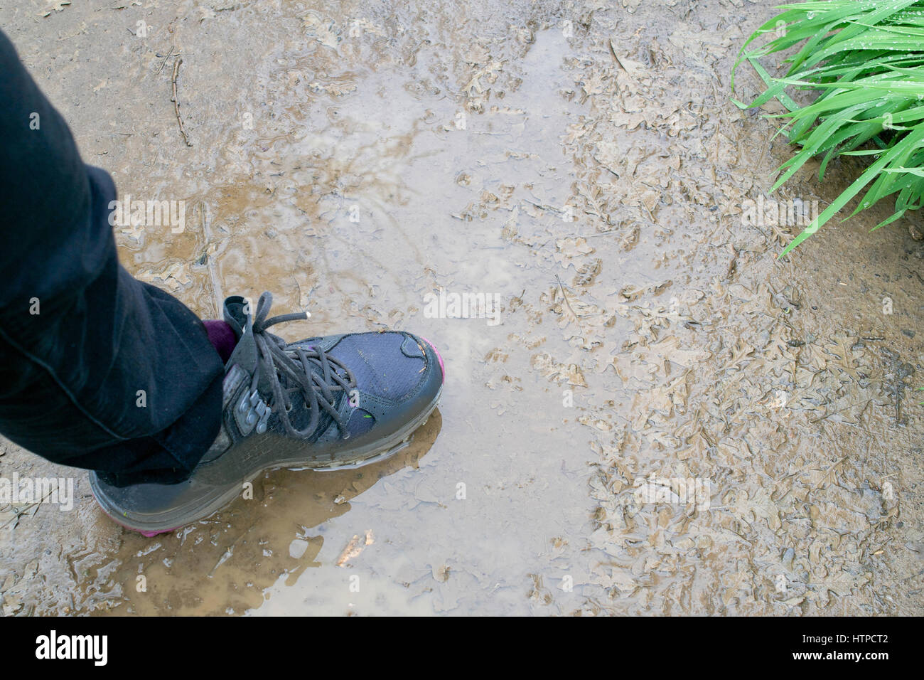 Walking boots mud puddle hi-res stock photography and images - Alamy