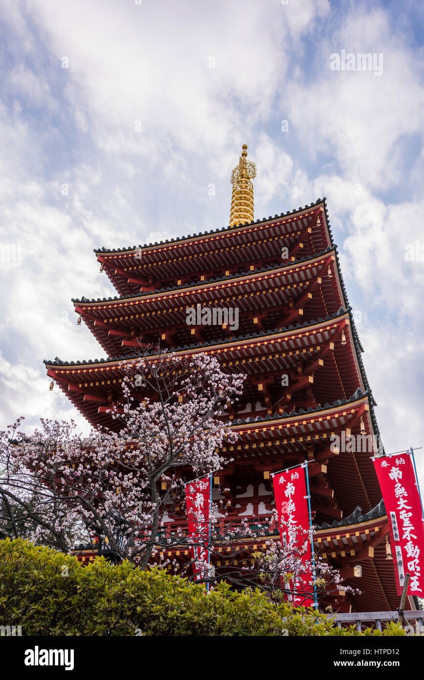 Hino tour hi-res stock photography and images - Alamy