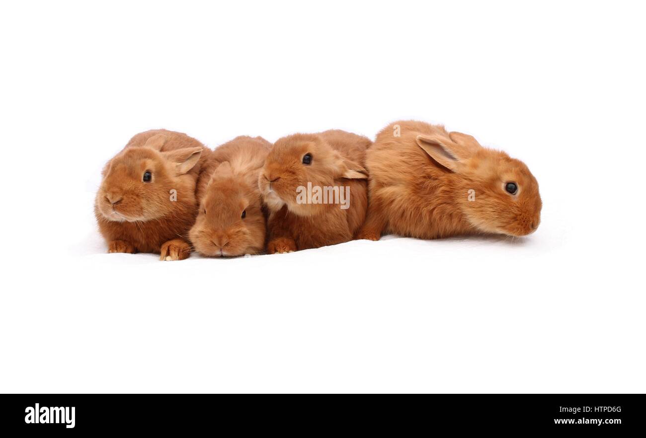 New agriculture new agriculture cloth Cut Out Stock Images & Pictures ...