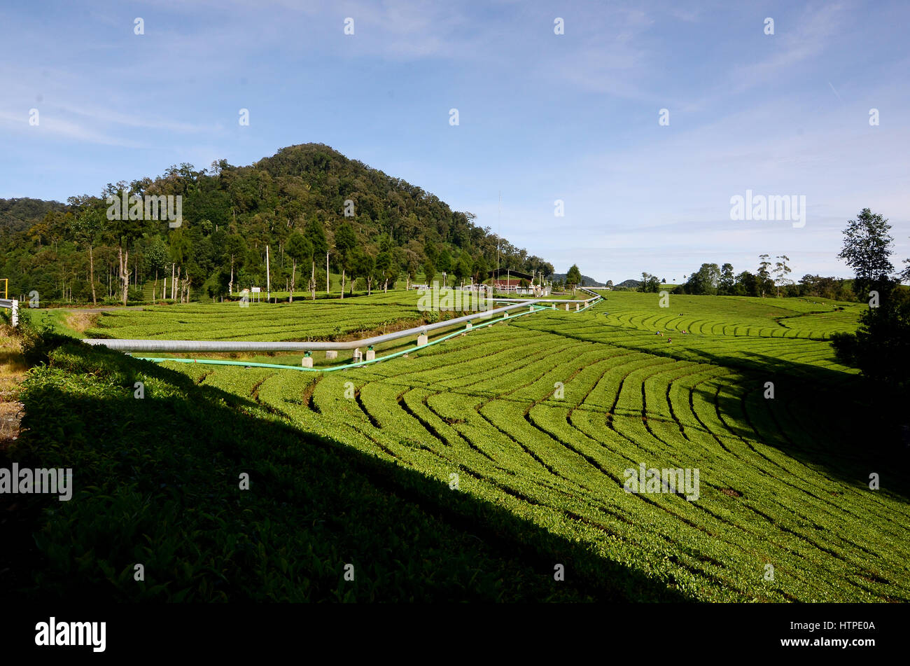 Pipe line from some where in Mount Patuha, West Java to Geothermal ...