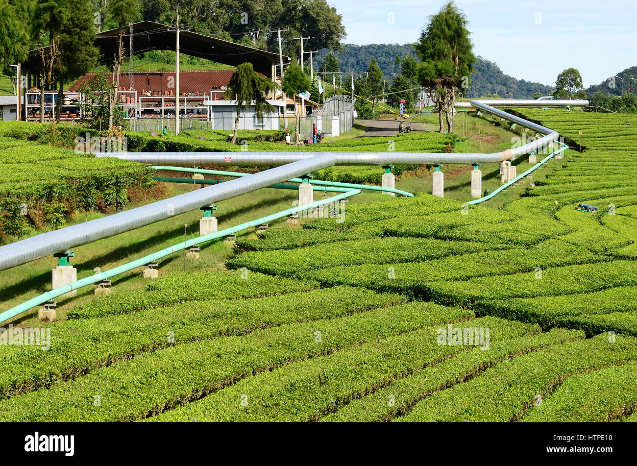 Pipe line from some where in Mount Patuha, West Java to Geothermal ...