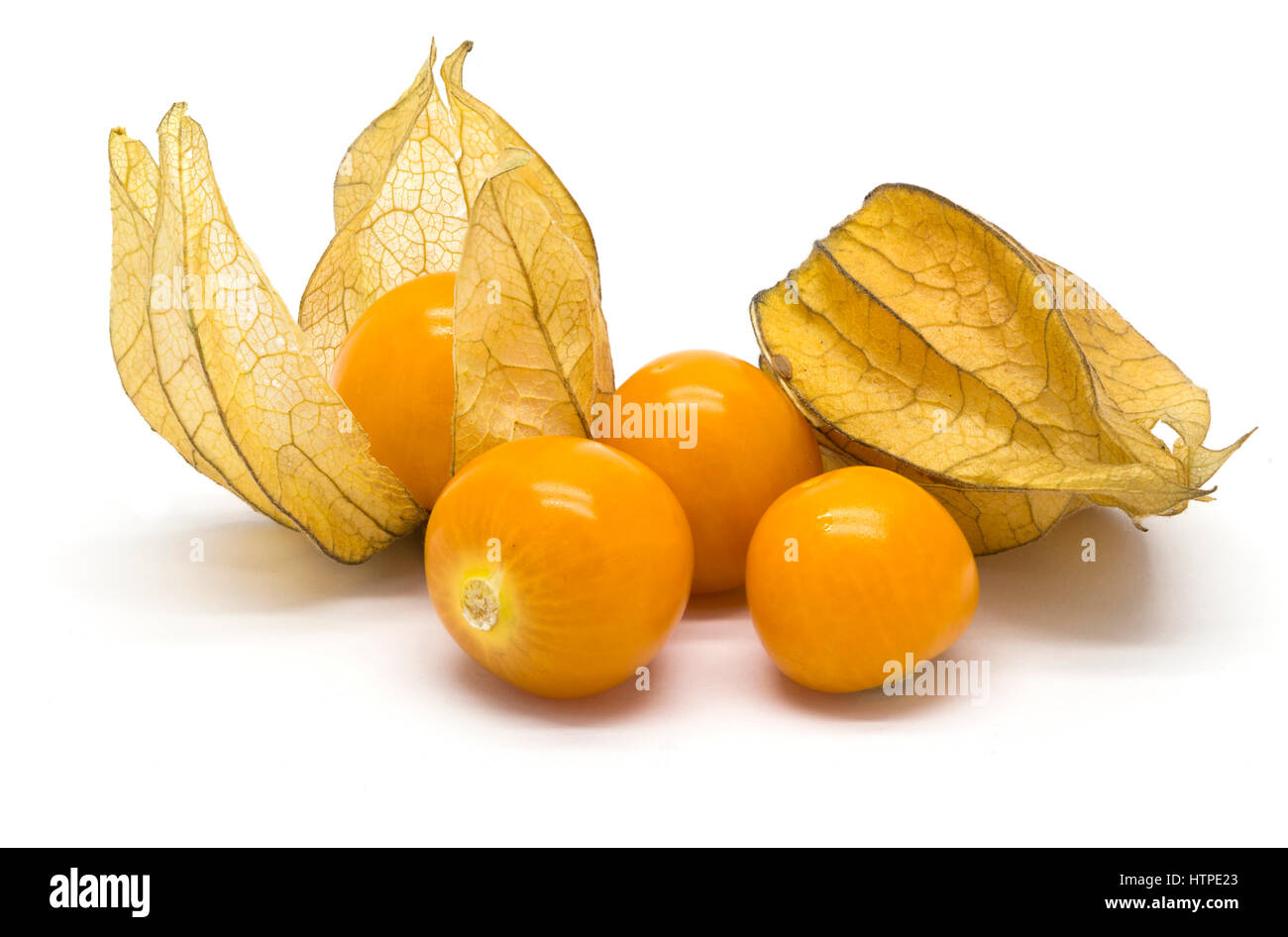 Several physalis fruits on white isolated background Stock Photo - Alamy