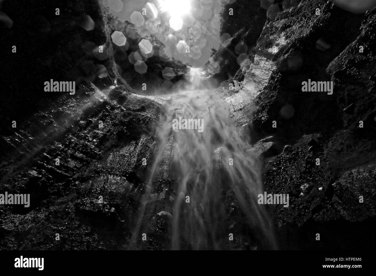 East java jungle Black and White Stock Photos & Images - Alamy