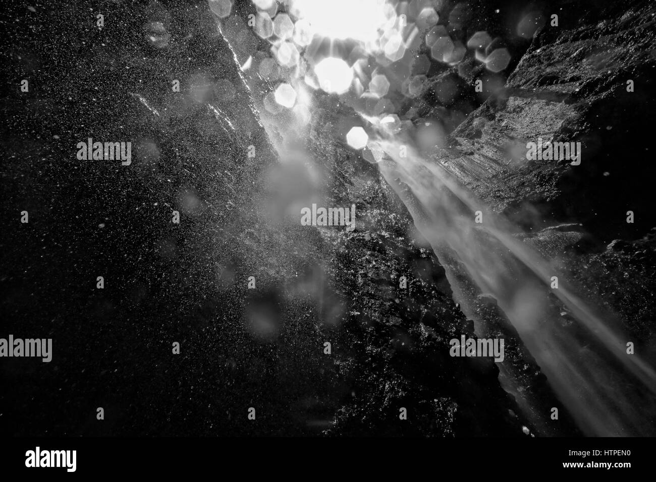 East java jungle Black and White Stock Photos & Images - Alamy