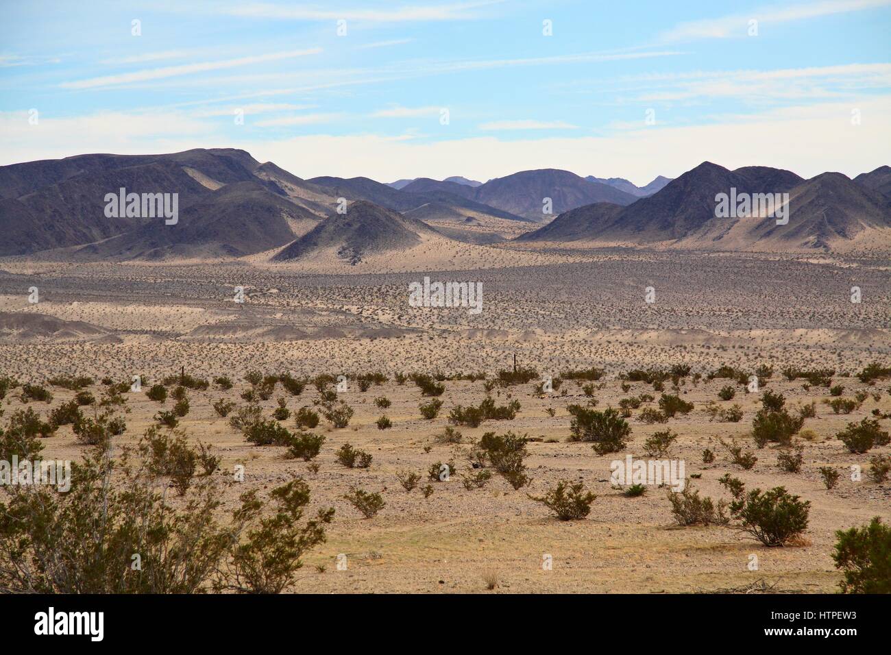 Nevada mojave desert vegetation hi-res stock photography and images - Alamy