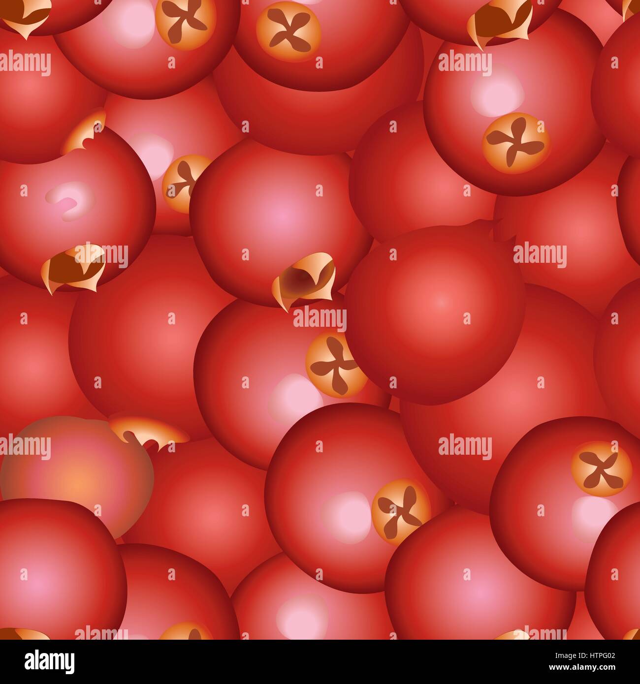 Cranberry seamless pattern Berry floral background. Summer food Stock ...