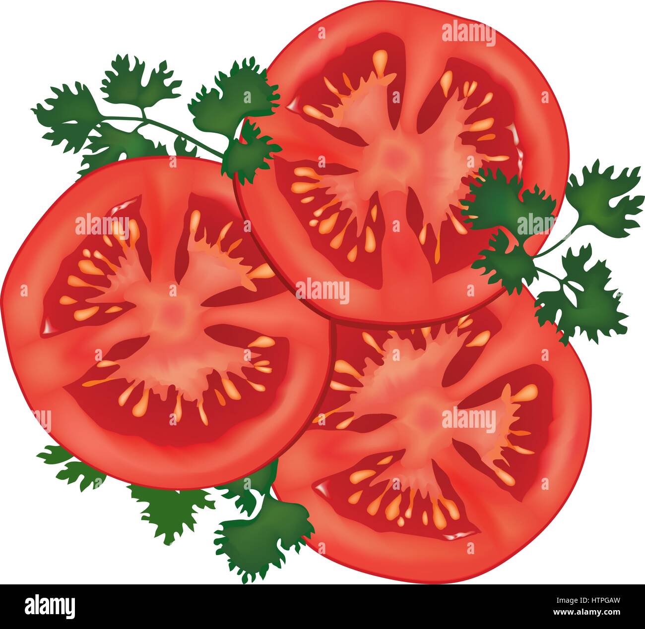 Tomato slice label. Vegetable sign. Farm fresh natural product tomatoes Stock Vector Image & Art ...