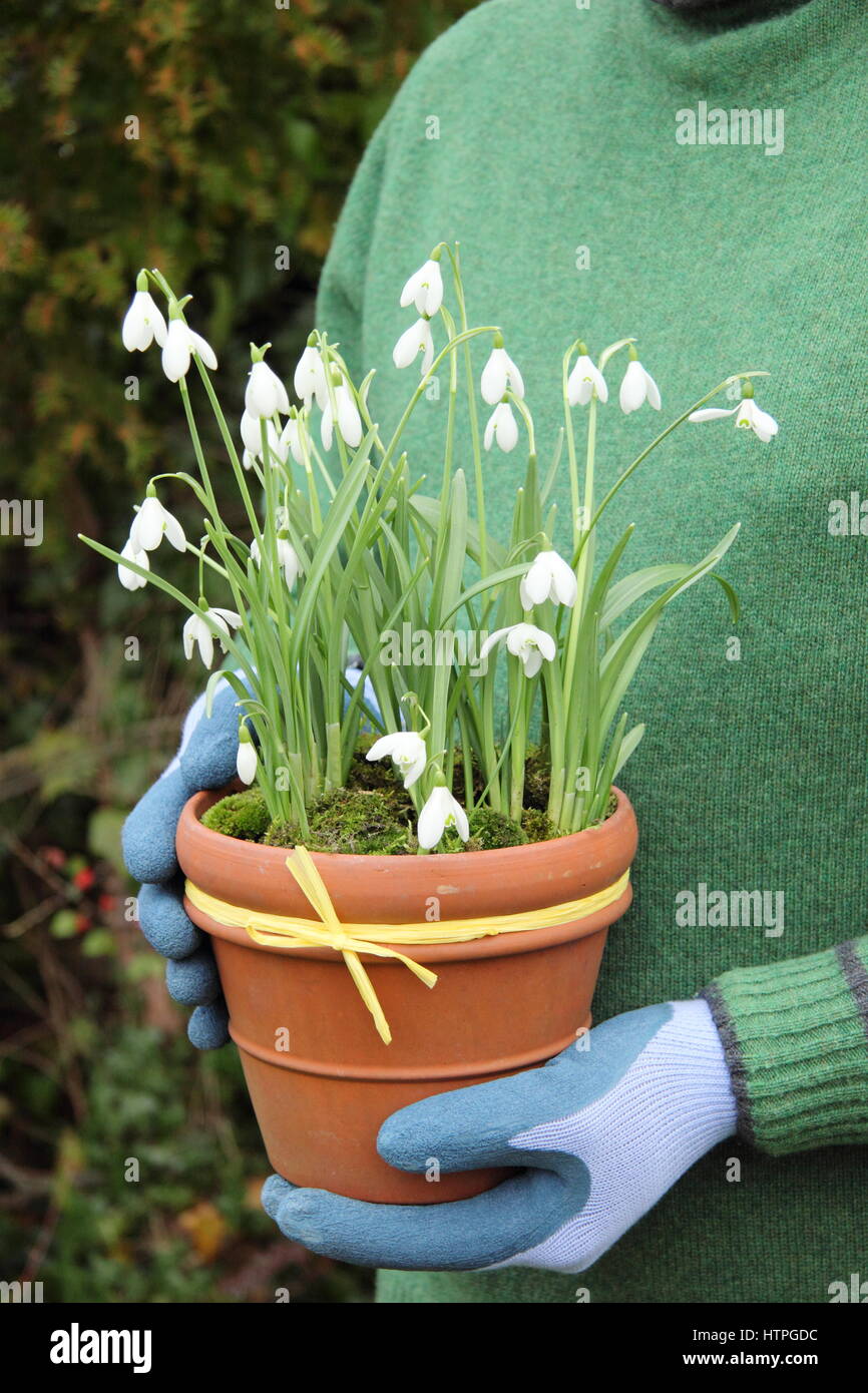 Flowers terracotta pot hi-res stock photography and images - Alamy