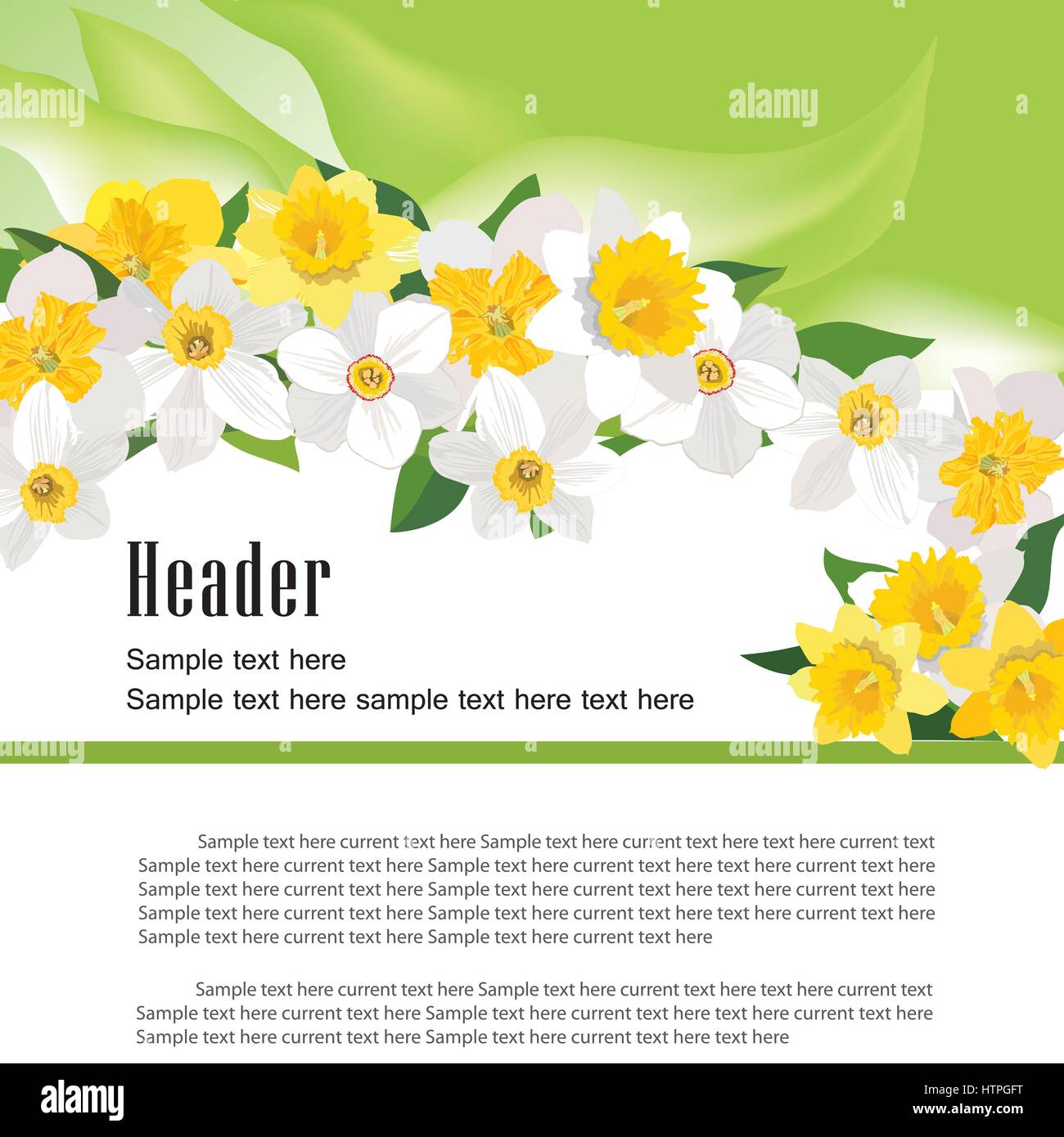 Floral pattern. Flower background. Spring garden border Stock Vector ...