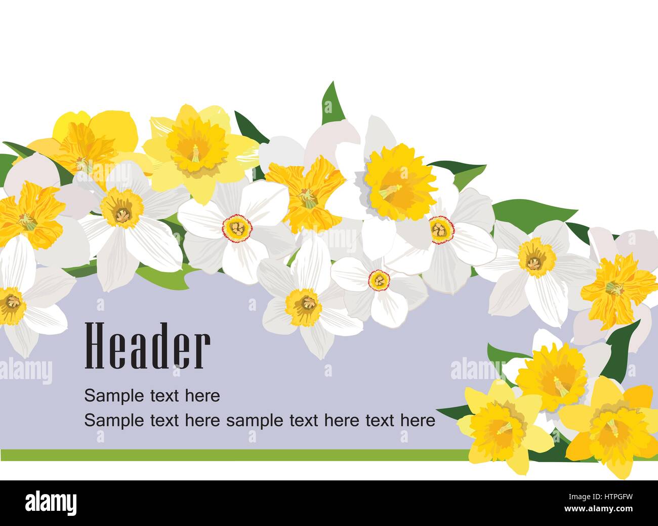 Floral pattern. Flower background. Spring garden border Stock Vector ...