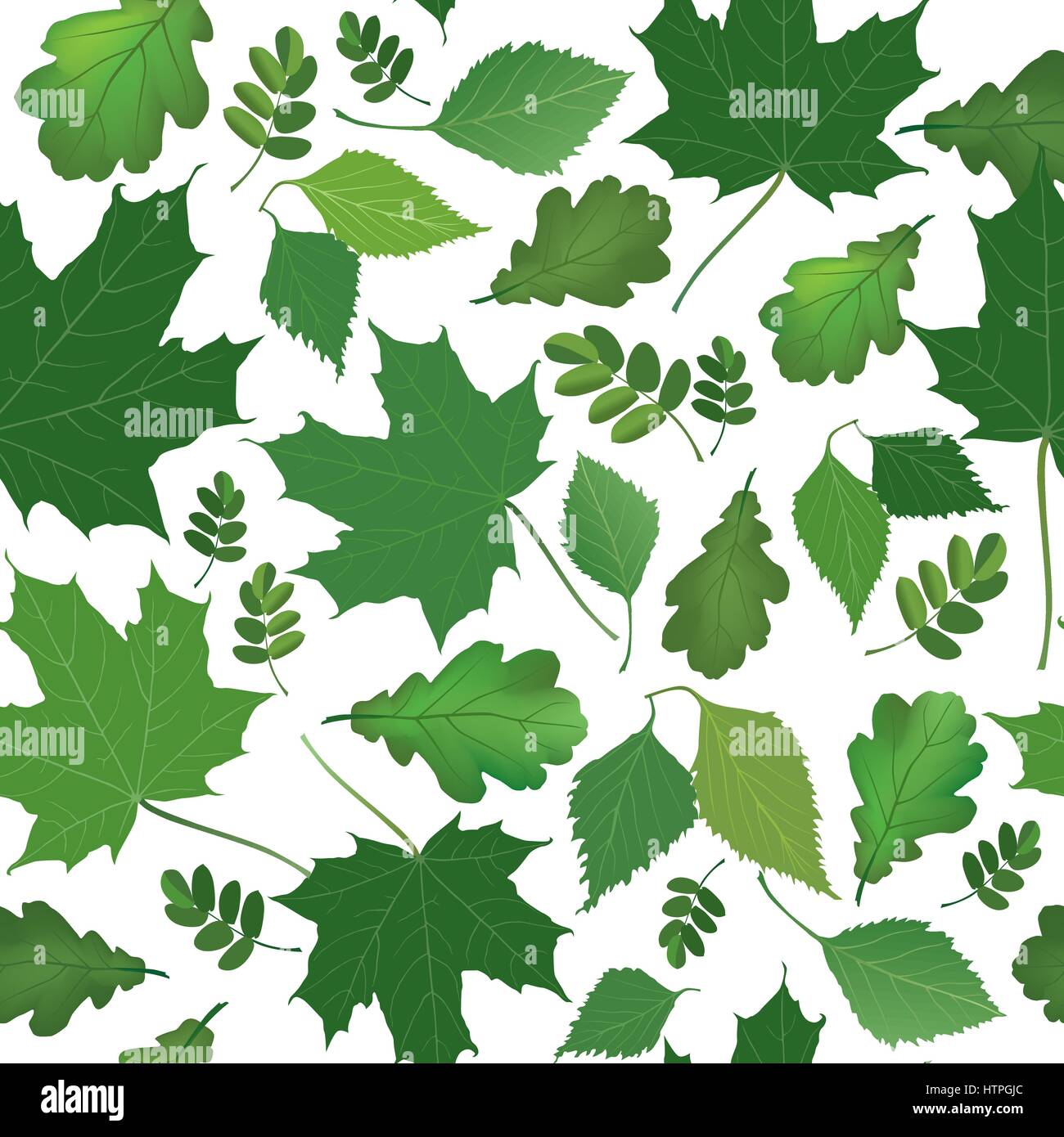 Ornamental green vegetation Stock Vector Images - Alamy