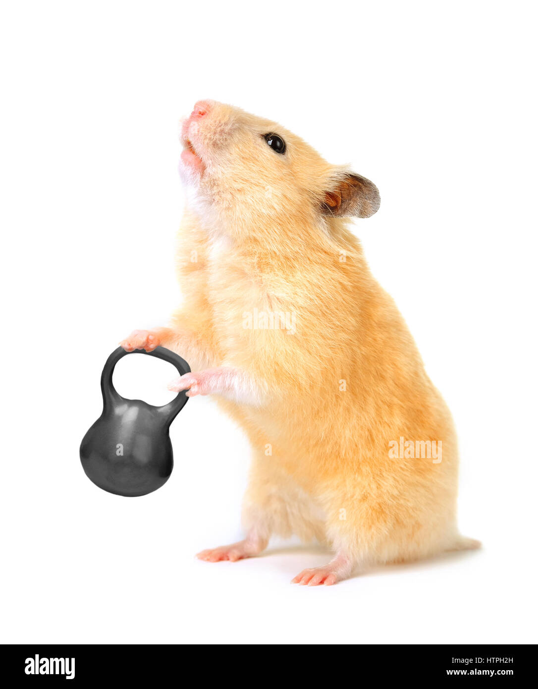 Funny barbell on white Cut Out Stock Images & Pictures - Alamy