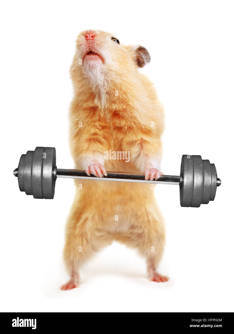 Funny barbell on white Cut Out Stock Images & Pictures - Alamy