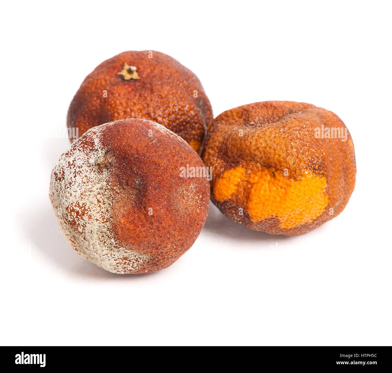 Group of rotten oranges isolated on white background Stock Photo - Alamy