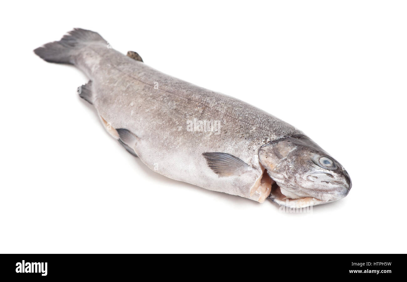 Gutted trout isolated on white background Stock Photo - Alamy
