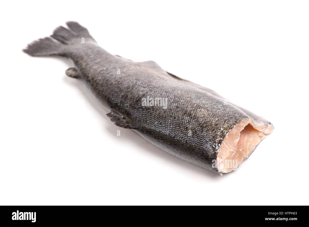 Gutted trout fish isolated on white background Stock Photo - Alamy