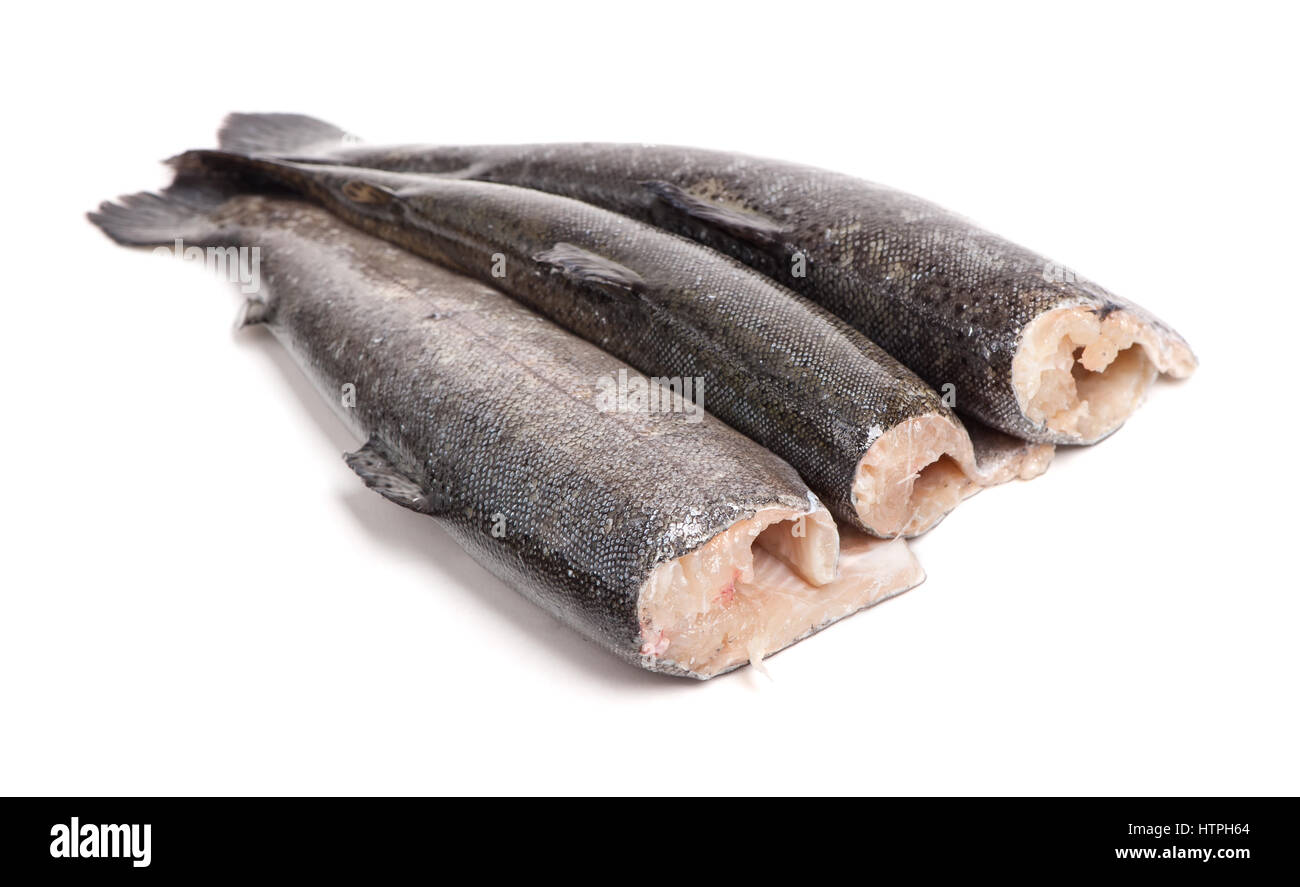 Gutted trout fishes isolated on white background Stock Photo - Alamy
