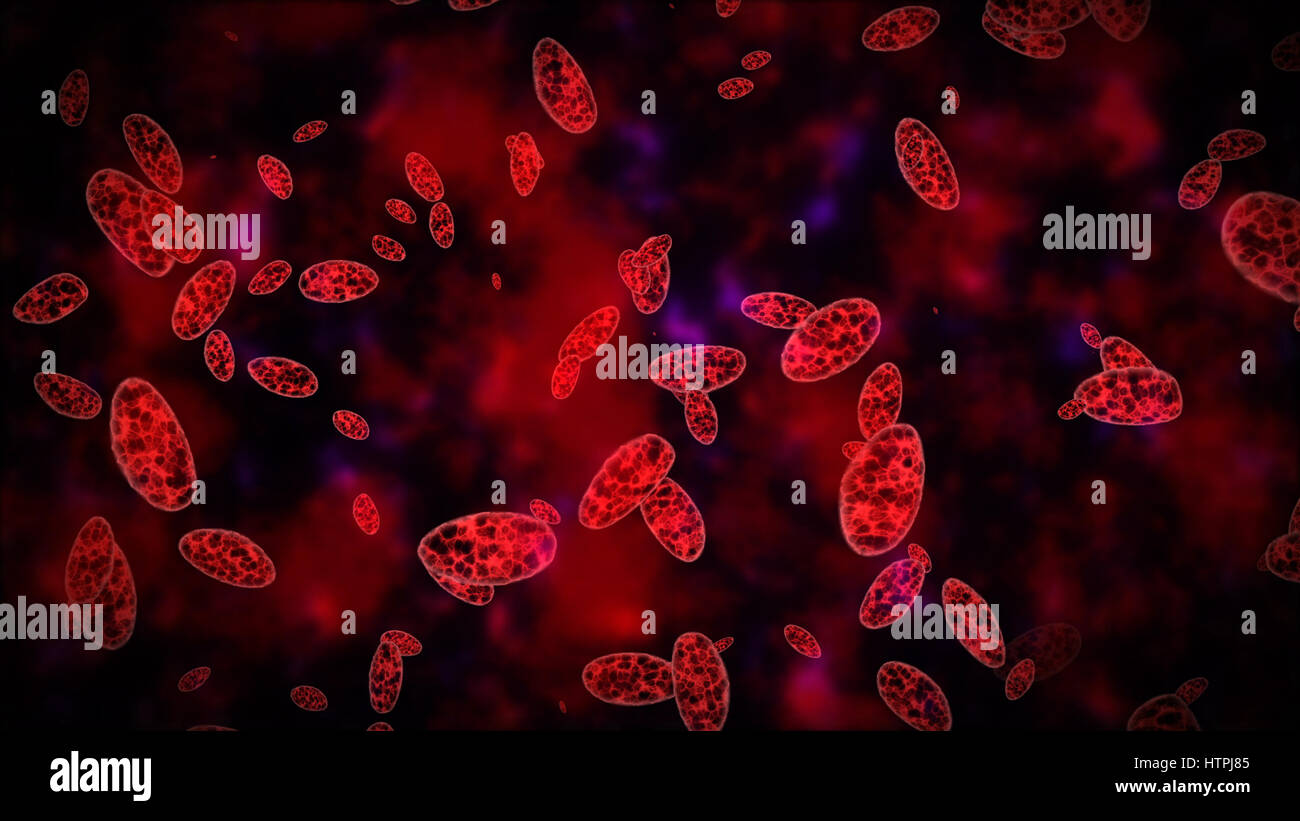 3d rendering of abstract red cells with a fractal texture on a dark red ...