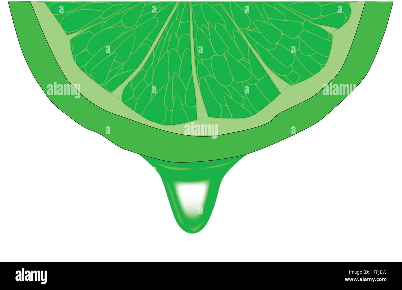 A drop of lime juice dripping from a lime slice Stock Vector Image ...