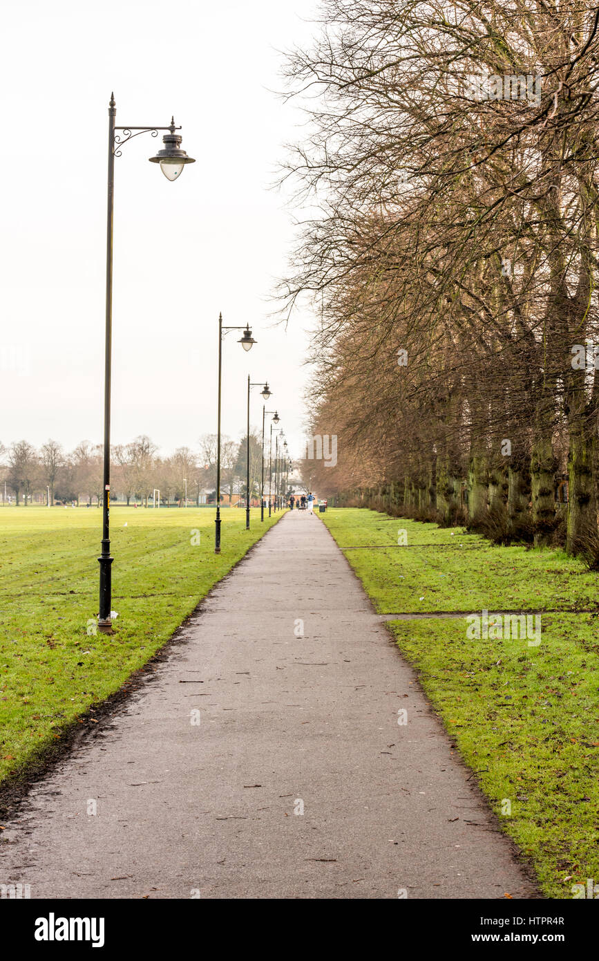 Straight line of posts hi-res stock photography and images - Alamy