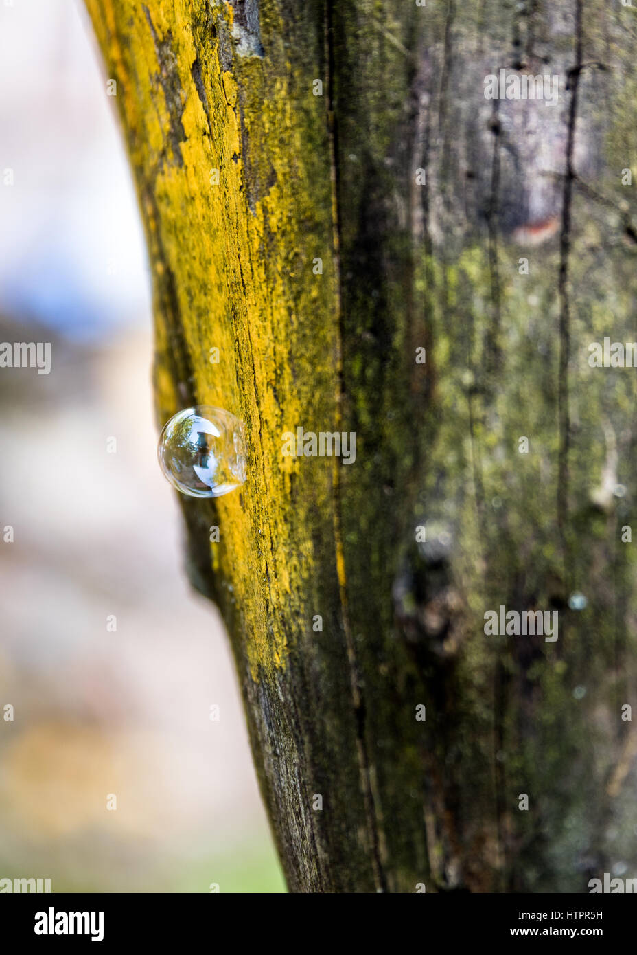 Real life soap hi-res stock photography and images - Alamy