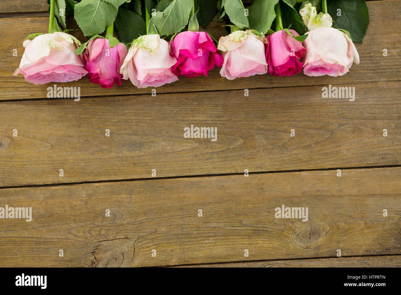 Close-up of pink roses arranged on wooden plank Stock Photo - Alamy