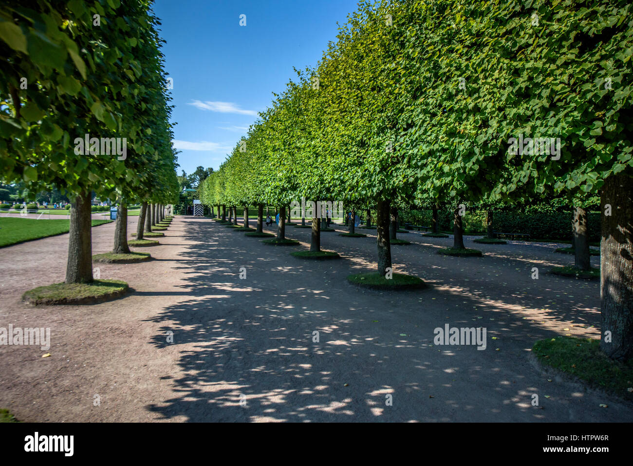 Gardens in Peterhof palace (Saint Petersburg, Russia Stock Photo - Alamy