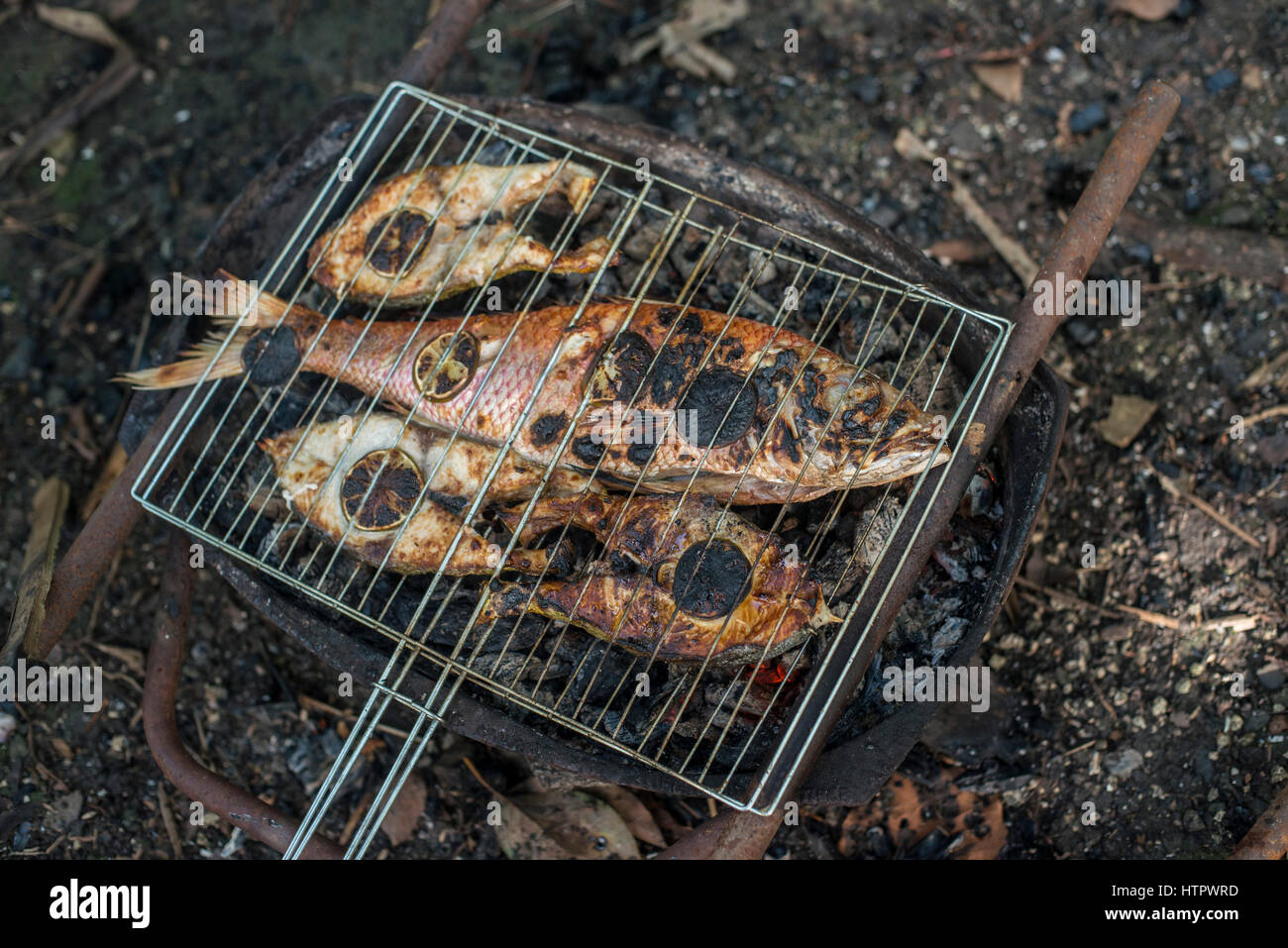 Grilling fish hi-res stock photography and images - Alamy