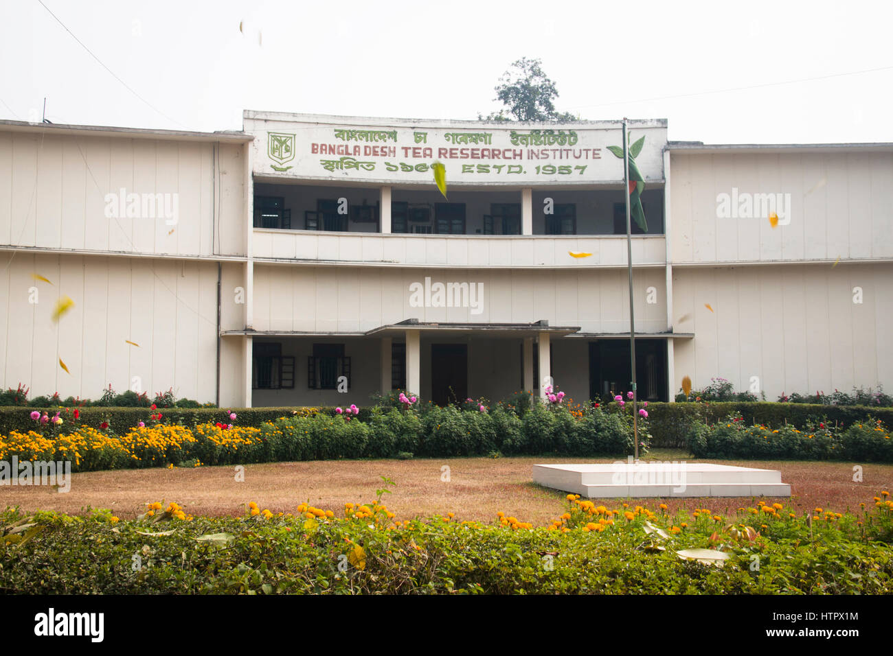 Bangladesh tea research institute hi-res stock photography and images ...