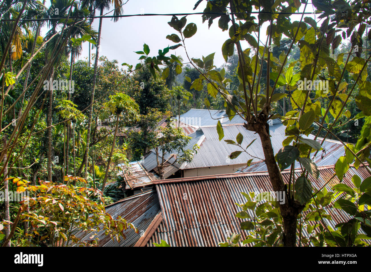 Village in the famous Lawacharra national park in Srimangal in the ...